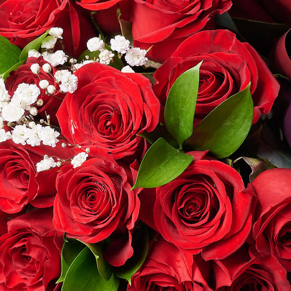 Valentine's Day 36 Red Roses Bouquet - America Blooms Delivery
