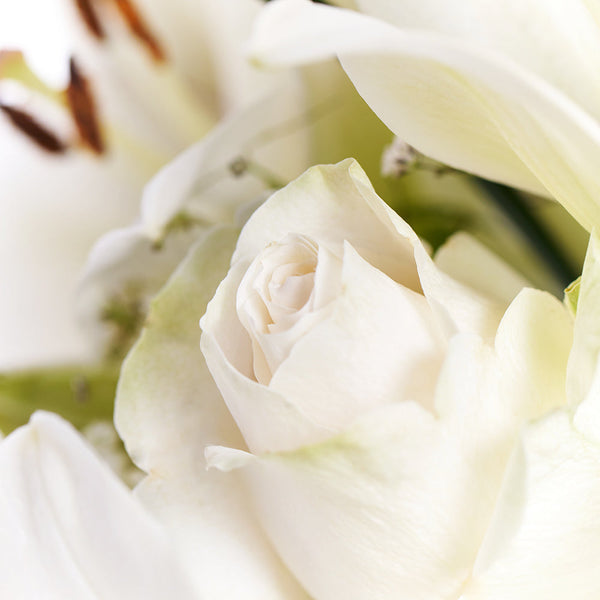 Alabaster Mixed Lily Arrangement – Lily Gifts – America delivery ...