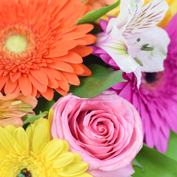 Celebrating Her Flower Gift – Boxed Floral Sets – America Blooms delivery