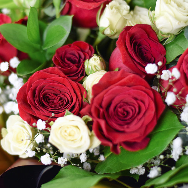 Rose Gifts | Harmony Mixed Rose Bouquet - America Delivery - America Blooms